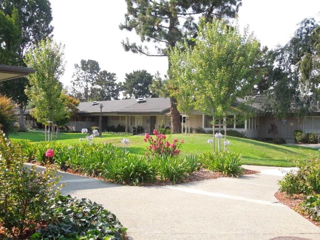 How to properly decoct Traditional Chinese Herbal Medicine - Victor ...